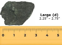 Metamorphic Rock Specimens