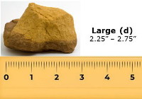 Sedimentary Rock Specimens