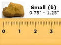 Sedimentary Rock Specimens