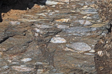 Metamorphic Rock Specimens