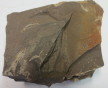 Sedimentary Rock Specimens