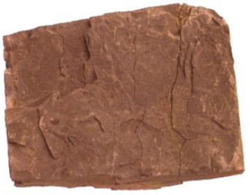 Sedimentary Rock Specimens